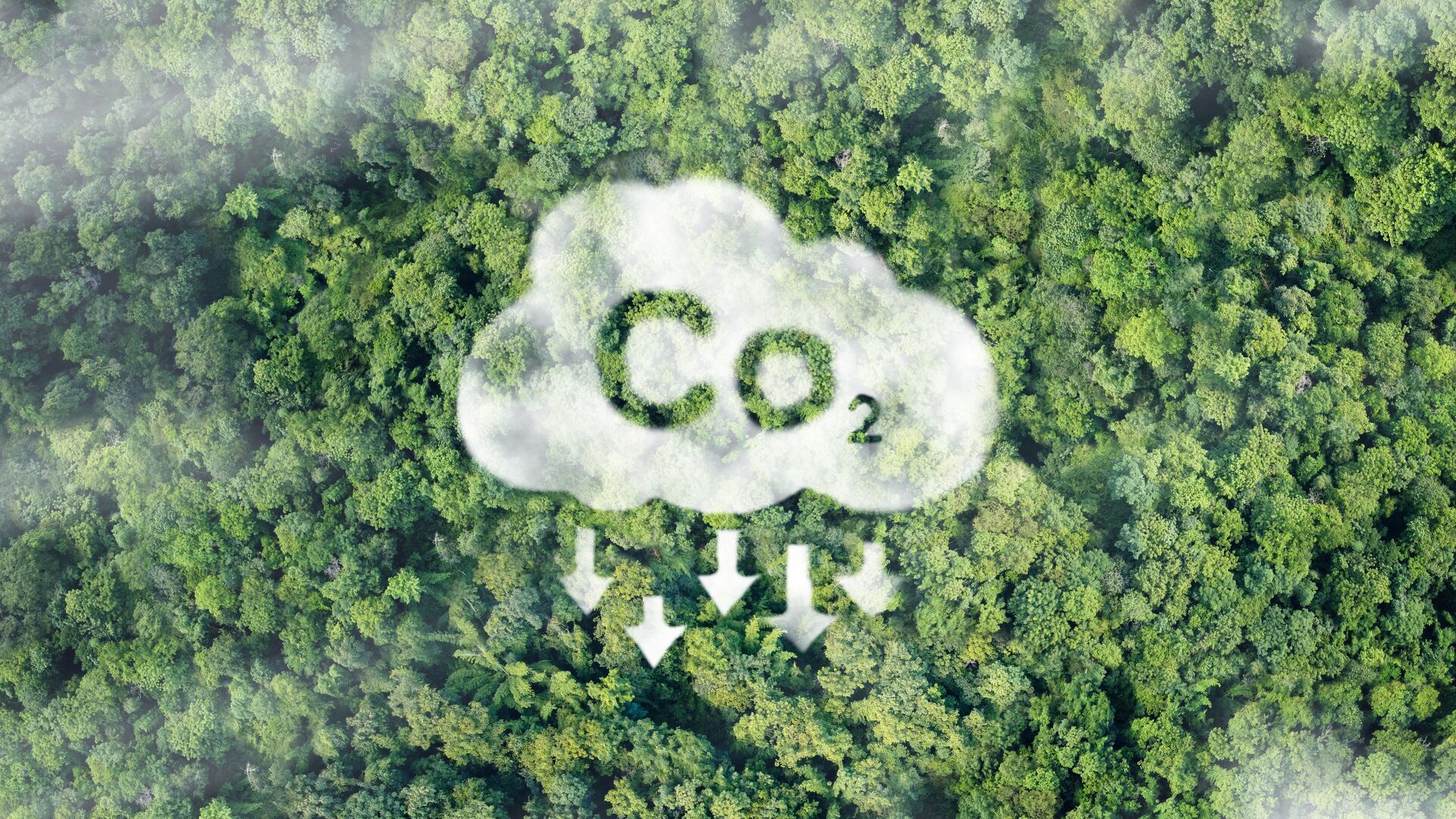 CO2-Steuer 2024: Wie funktioniert CO2-Bepreisung in Österreich ...